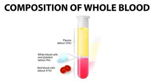 What do blood counts mean? – MPN Voice